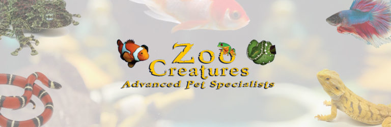 About Zoo Creatures NH - Zoo Creatures Exotic Pets and Pet Supplies