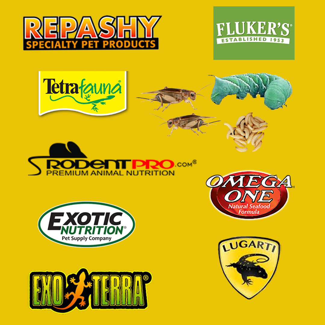 Pet Food and Nutritional Supplements - Zoo Creatures Pet Supplies NH