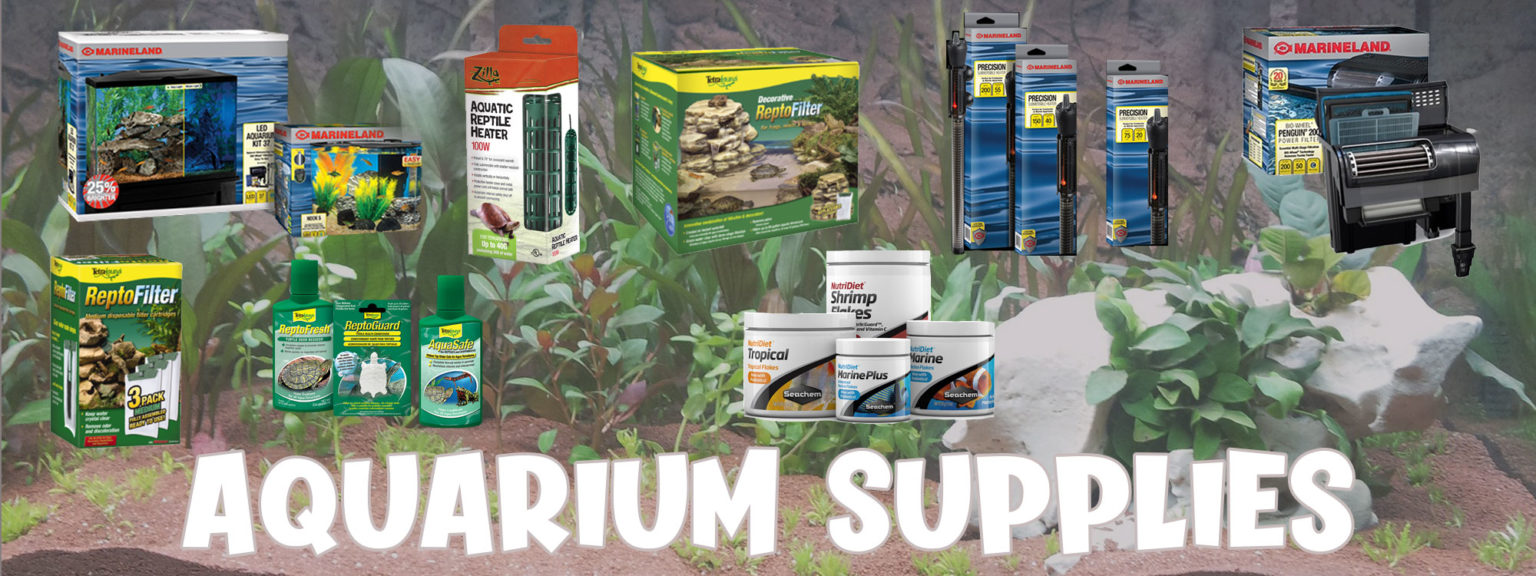 Aquarium Supplies - Fish & Aquatic Turtles - Zoo Creatures Pet Store NH