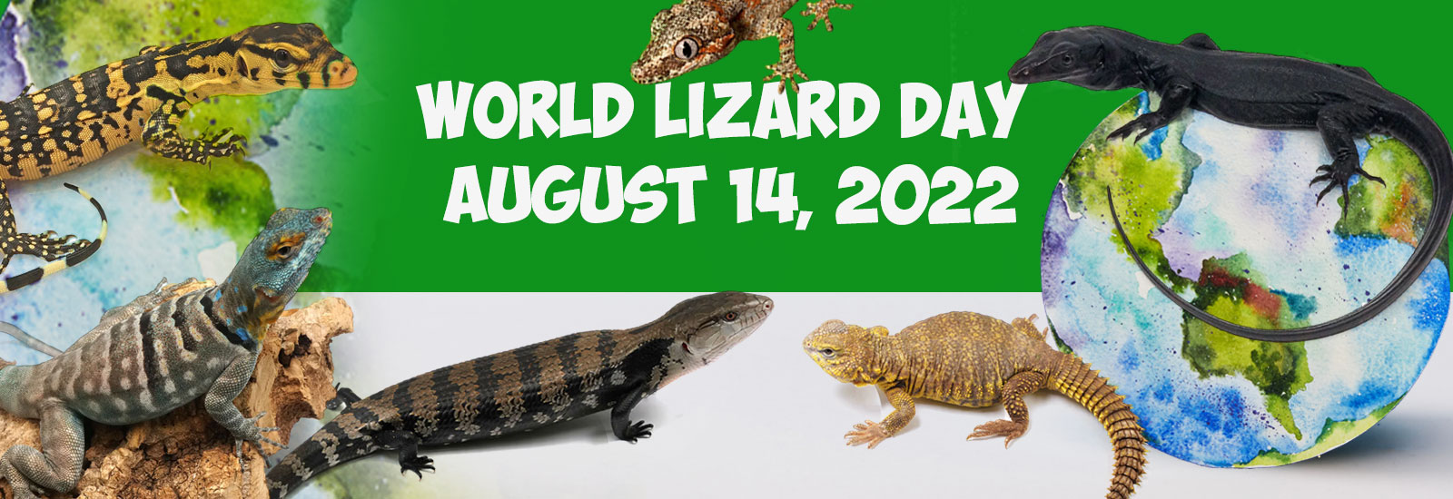 Celebrate World Lizard Day 2022 Celebrate World Lizard Day 2022